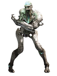 Cursed Thrall - Destinypedia, the Destiny encyclopedia