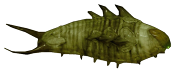 Worm - Destinypedia, the Destiny encyclopedia