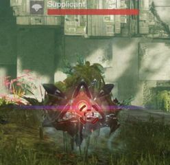 Supplicant - Destinypedia, the Destiny wiki